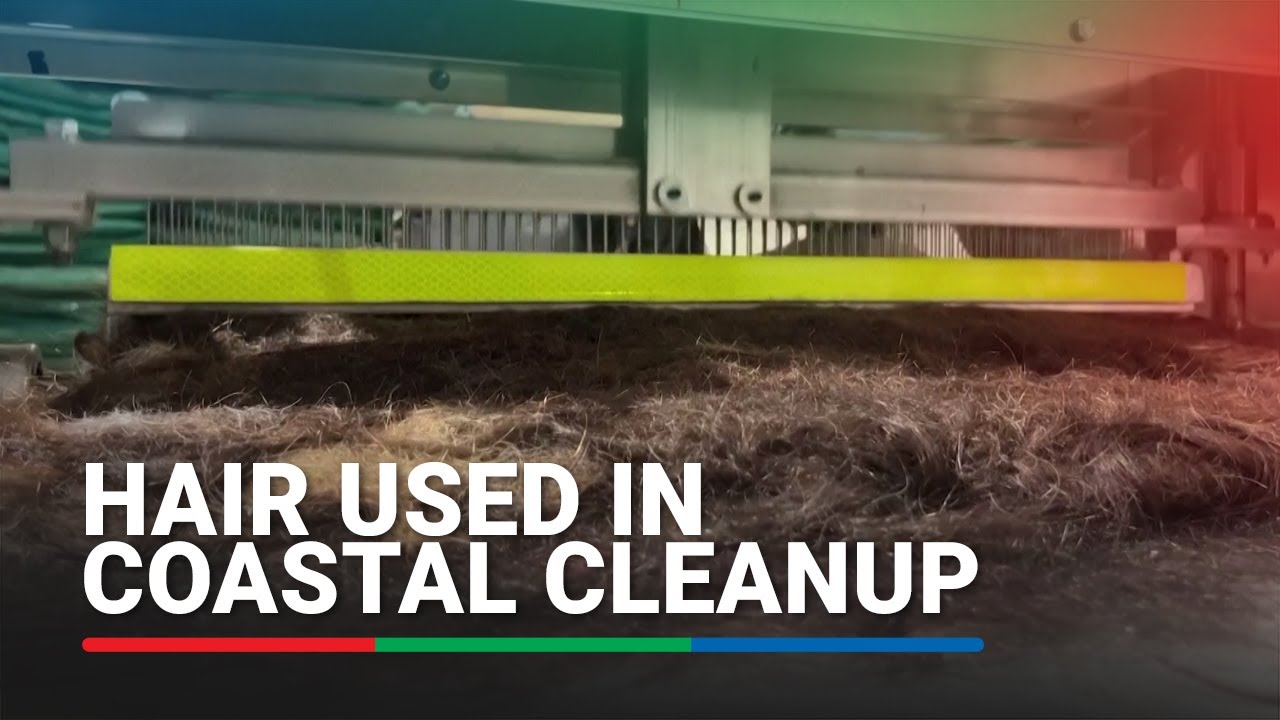 Innovative Chileans use discarded hair to clean up coasts and waterways ...