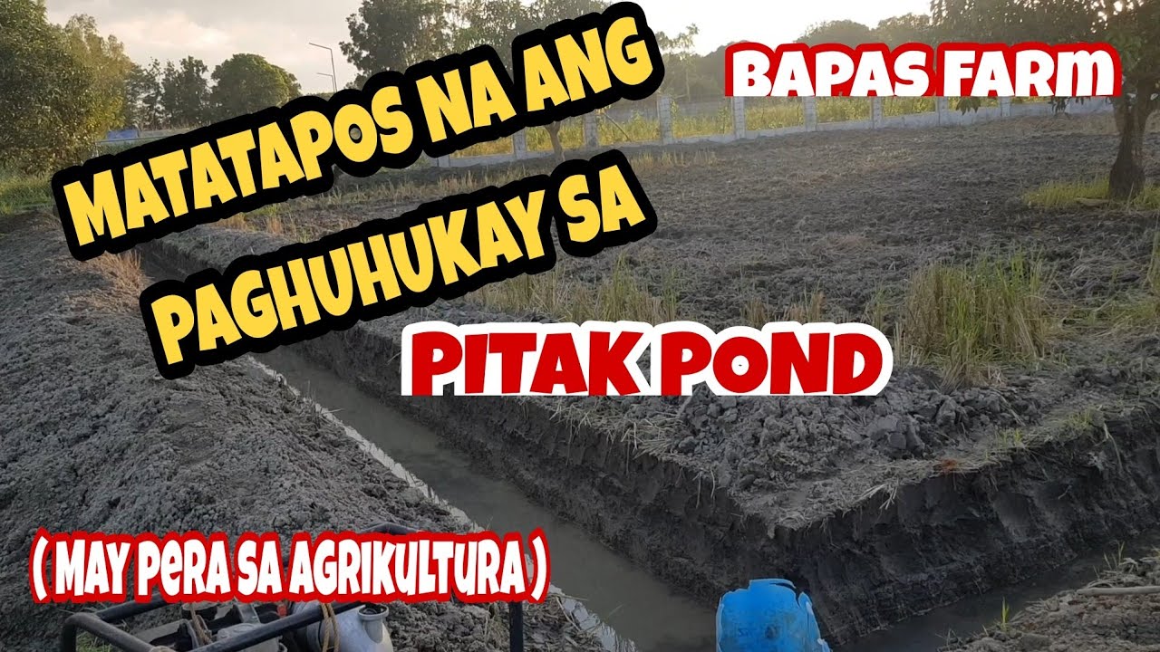 MATATAPOS NA ANG PAGHUHUKAY SA PITAK POND - YouTube