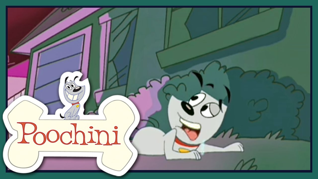 Poochini - Episódio 17 - Boning Up / Night Crawlers / Flying Dog - YouTube