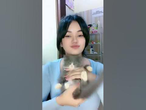 TikTok Jilboob Toge MeiMeiChan Viral goyang2 gunungnya HD 2023 - YouTube