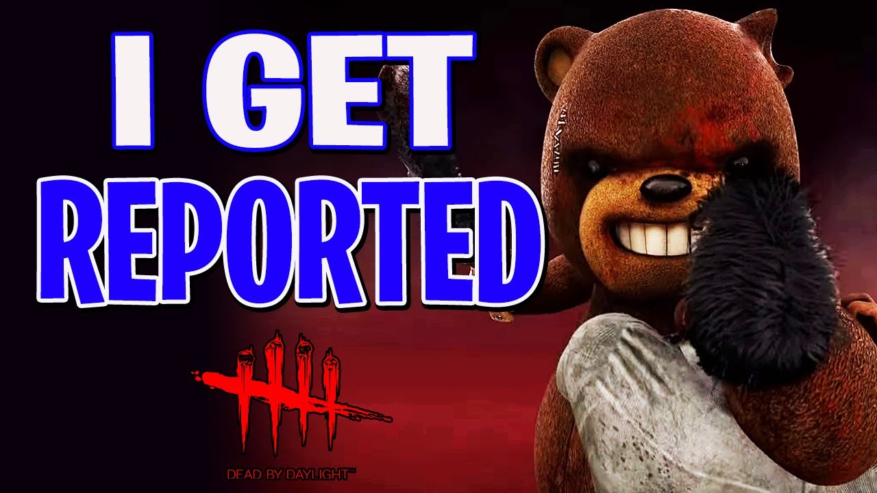 Salty Streamers Report The NAUGHTY BEAR!! - YouTube