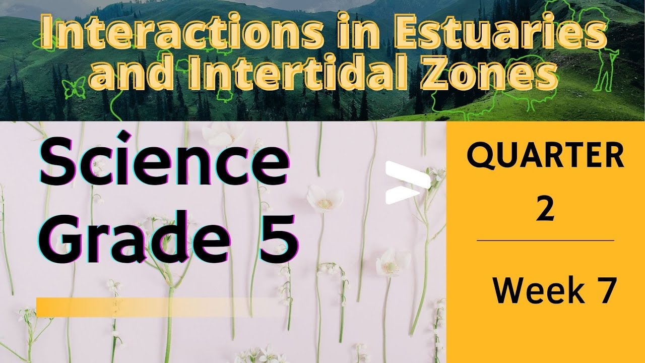 SCIENCE 5 QUARTER 2 WEEK 7: Interaction in Estuaries and Intertidal ...