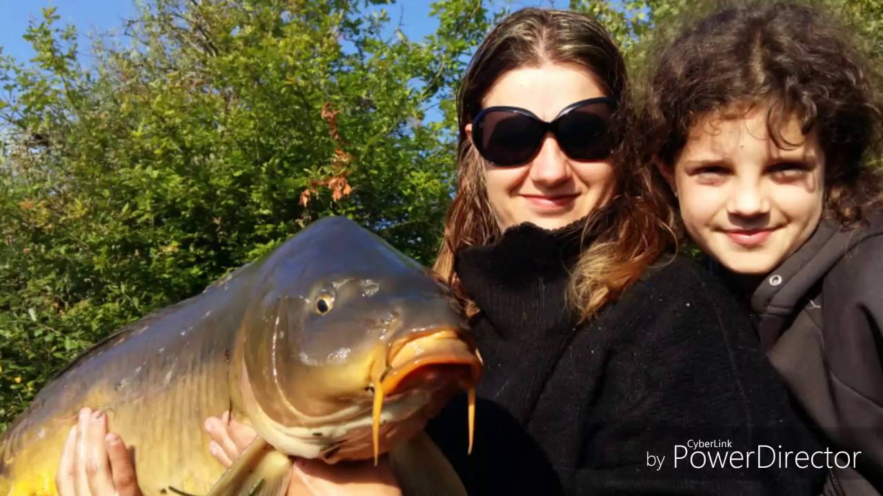 pêche à la carpe face à la caméra - YouTube