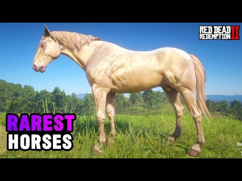 4 Best Rare Horses In Random Encounters With Location - RDR2 #1 - YouTube