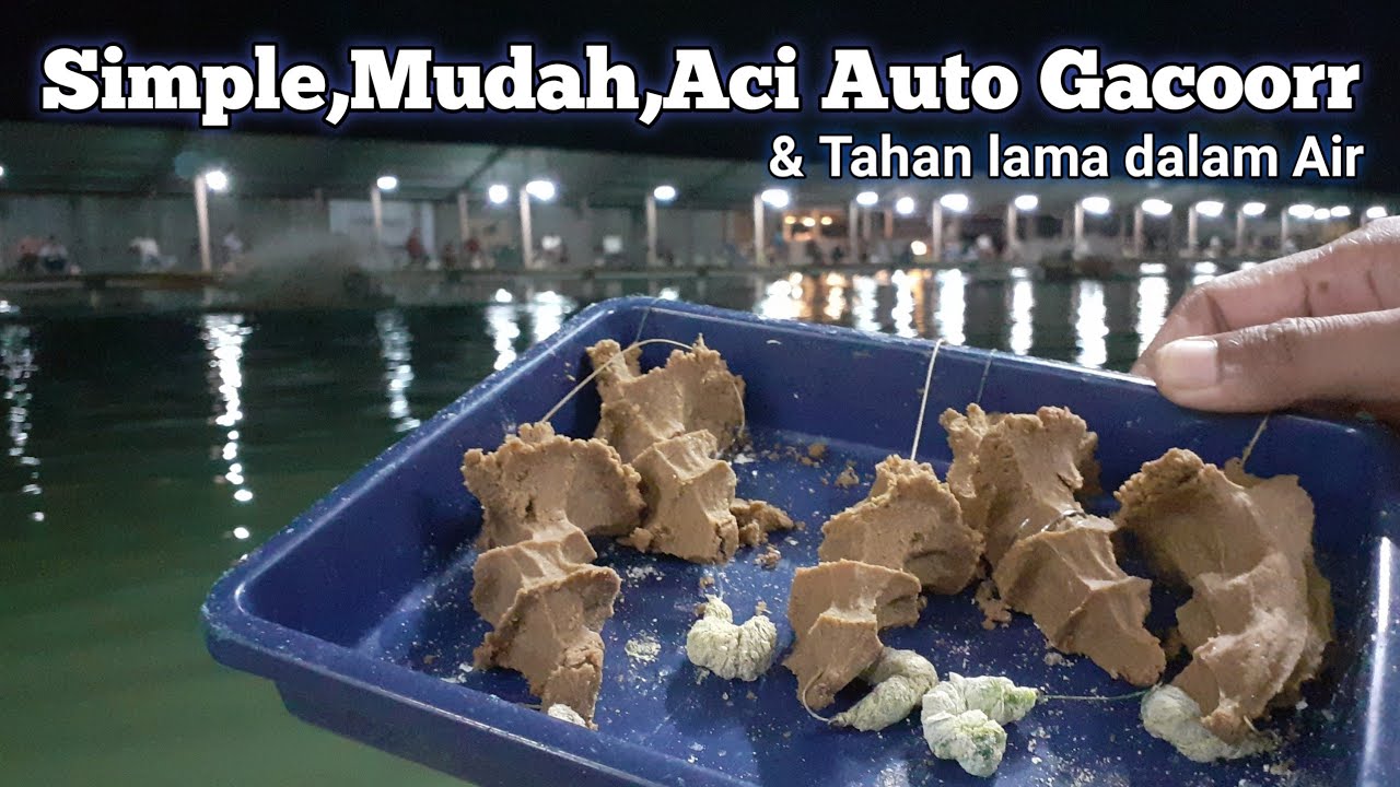 Cara memasang umpan aci Atau ongol² ke mata pancing ReQuest - YouTube