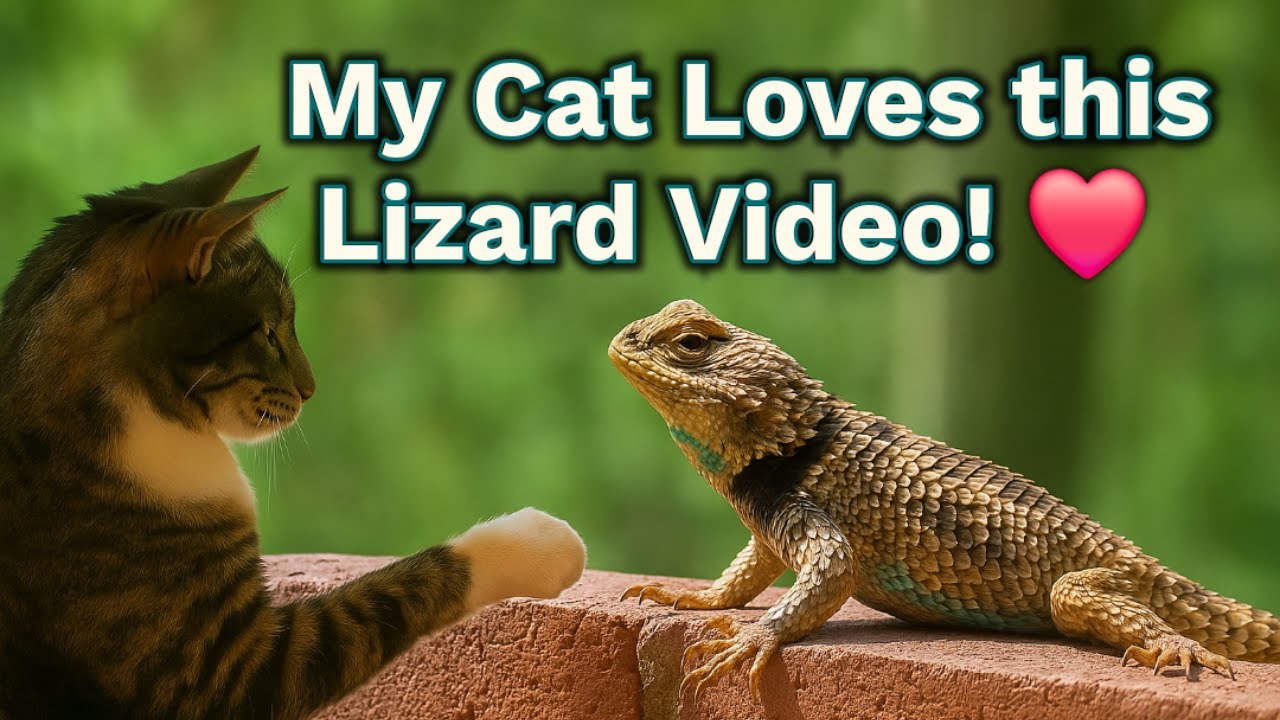 Cats Love Watching Lizards! 😻1 Hour of Relaxing Nature Cat TV | Calming ...