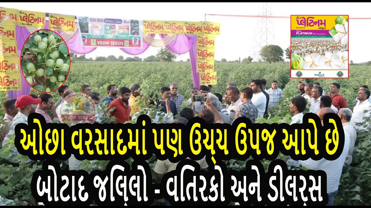 VEDA Platinum BG II PLANTS ☘️ Distributors & Delers meet @ Botad ...