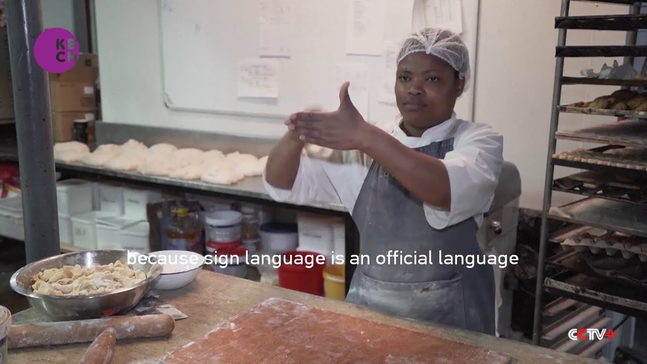 South Africa approves sign language as 12th official language - YouTube