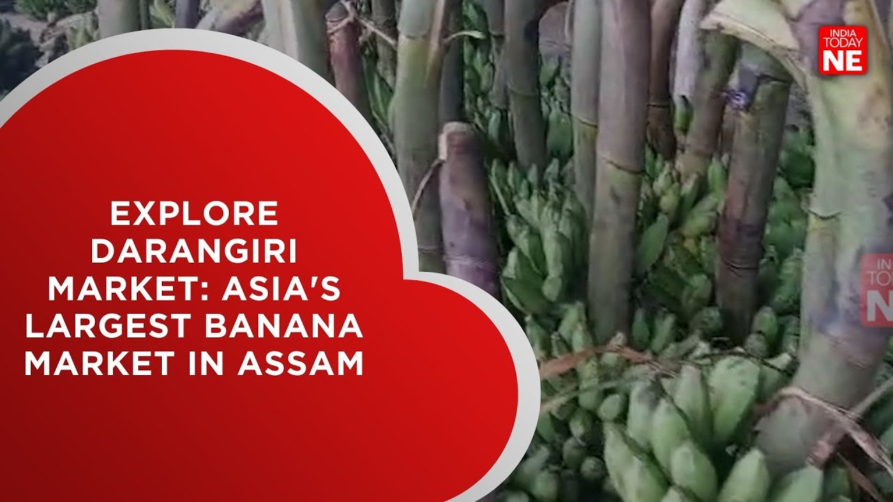 Explore Darangiri market: Asia's largest banana market in Assam - YouTube