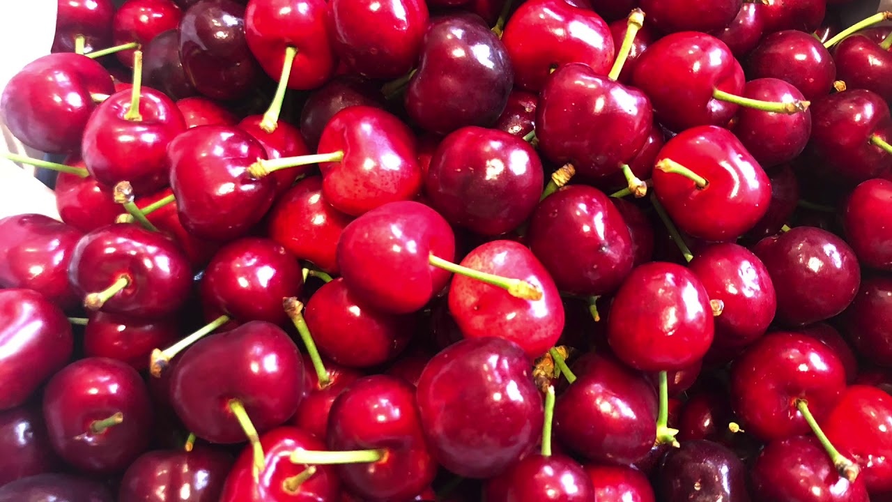 Sweet Cherry - YouTube