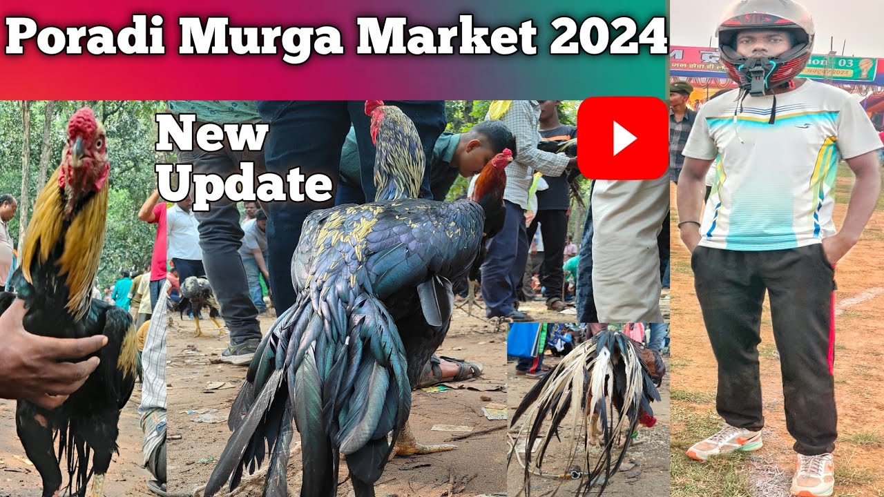 Poradi Market 2024l Murga Market lJhilimili Poradi Bankura Sujit Mandi Vlog - YouTube