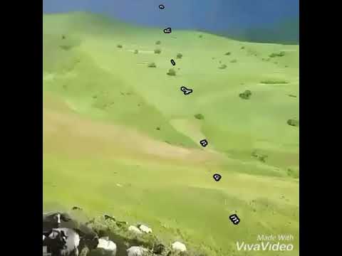 Şair  Alqayit gözəl  şeir