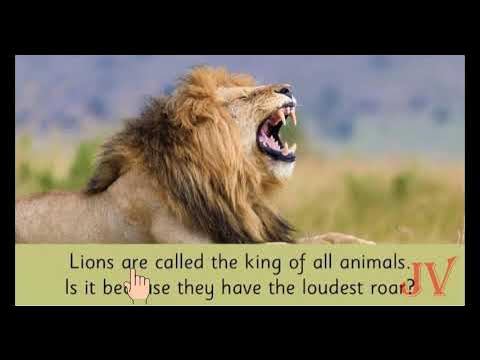 Animals of Africa || Story Reading ||story of Kindergarten || Skg / Ukg ...