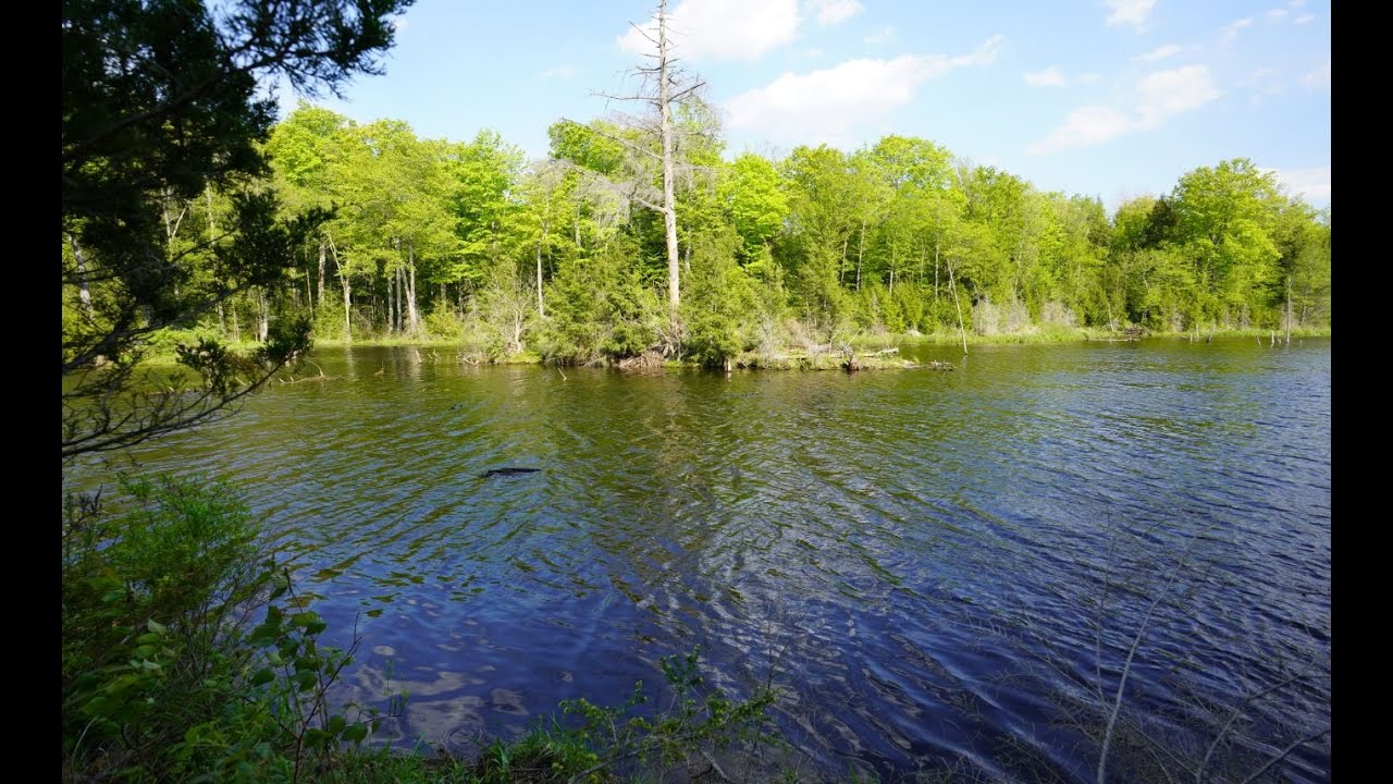 Lovely Lower Beverly Lake Waterfront Elgin, On - YouTube