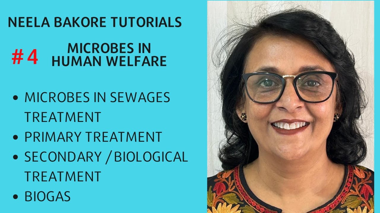 Microbes in Human Welfare | Microbes in sewages treatment | NEET and ...