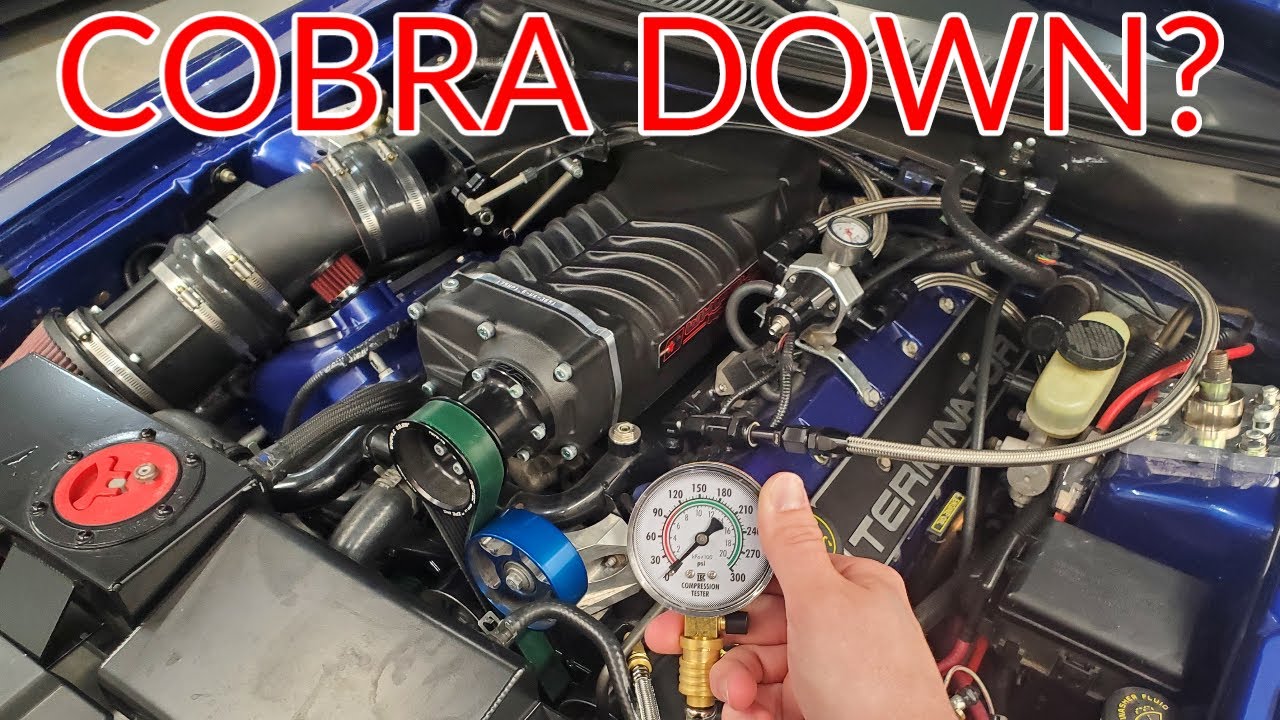 Compression Check | Cobra Down? - YouTube