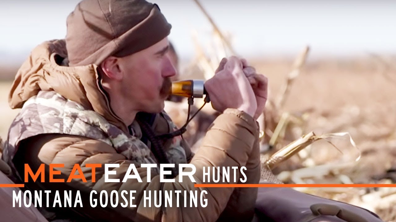 Montana Goose Hunting w/ Ryan Callaghan and Miles Nolte | S1E06 ...