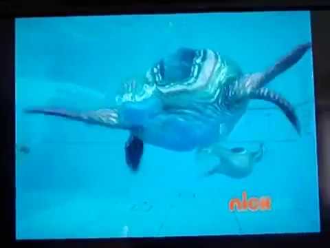 Dino Dan: Trek's Adventures Micro Dino/Meteor Survivors 1/4