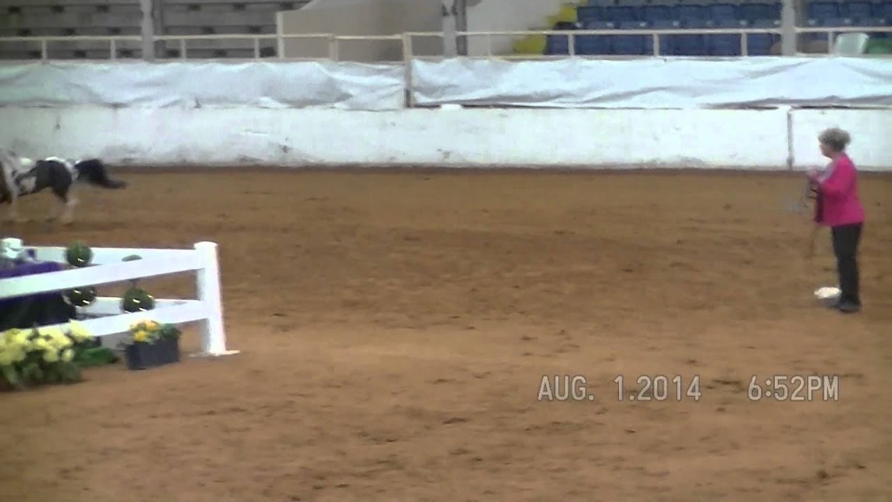 AMHA Regionals Liberty Clough - YouTube
