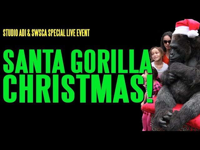 Santa Gorilla