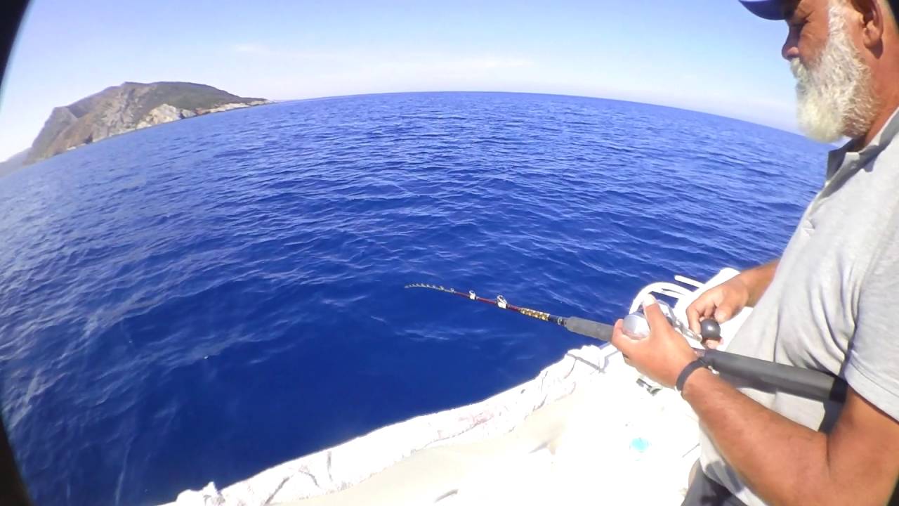 Fishing with tenya and live bait- squid - YouTube