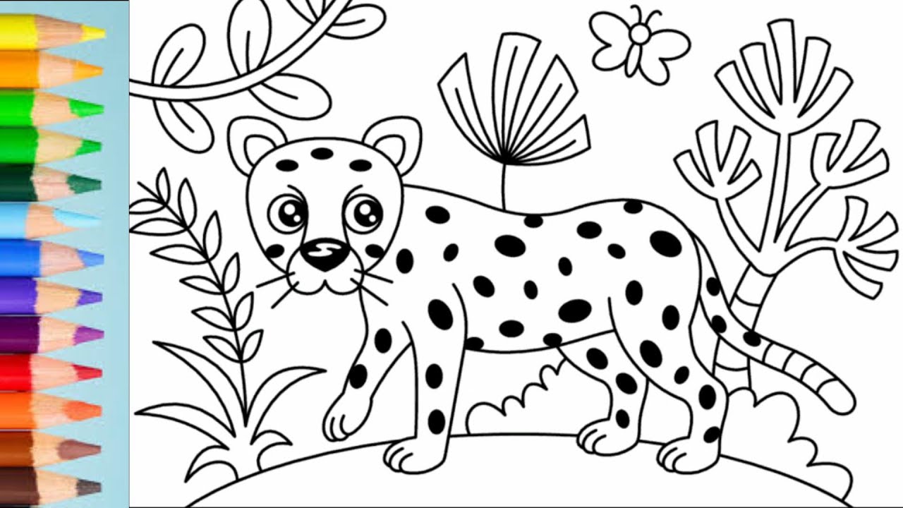 Lets fill colors in cheeta, Nice coloring for kids, Fun time for ...