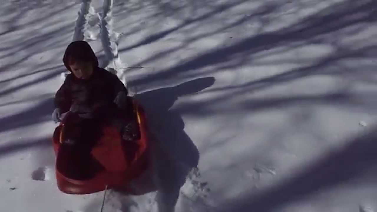 Theontonio's first sleigh ride! - YouTube