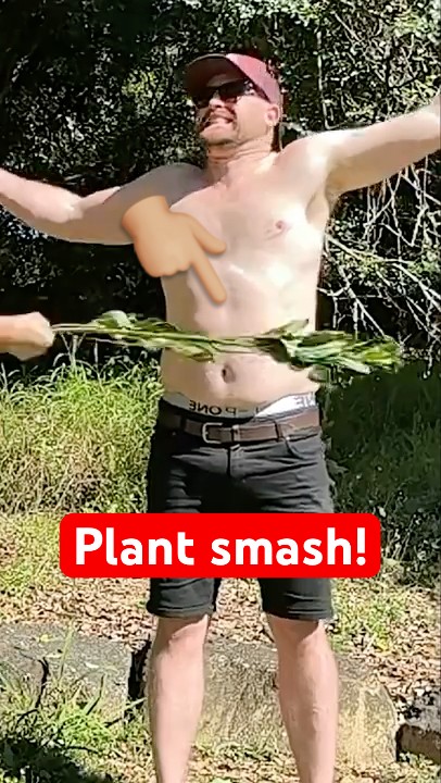 Which Guy Takes A Branch Hit The Best - YouTube