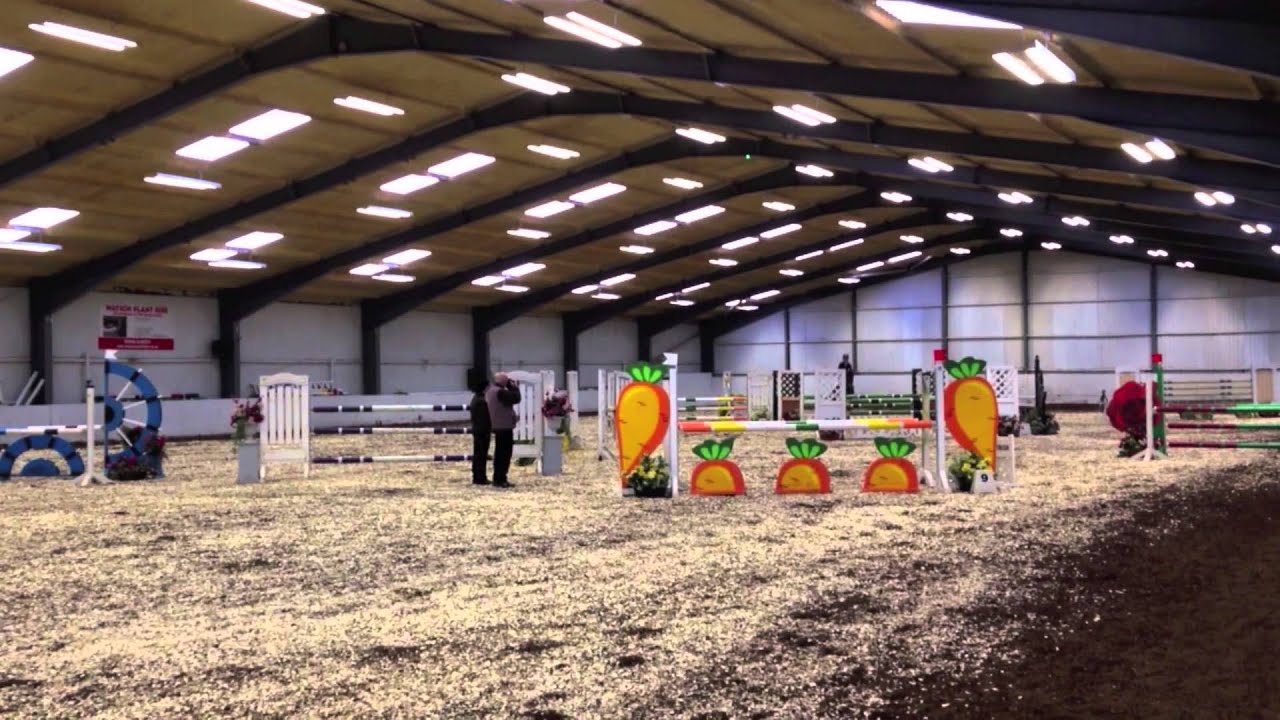 Miami Carwyn by Machno Carwyn jumping Newcomers Southview Premier SOLD ...
