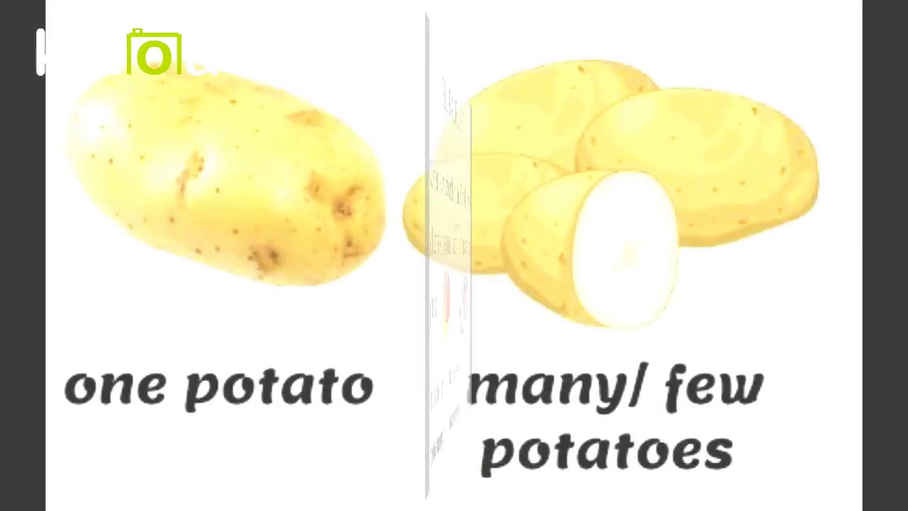 Singular & Plural (Food) - YouTube