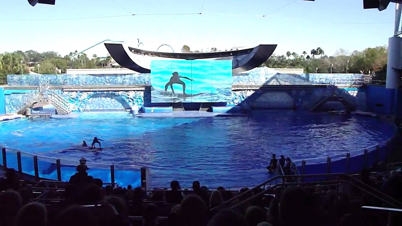 "Believe" Sea World, Orlando, FL - part 5 - YouTube