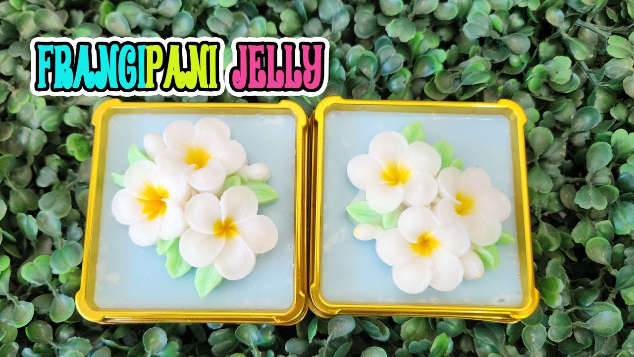 Frangipani Flower Jelly I How To Jelly - YouTube