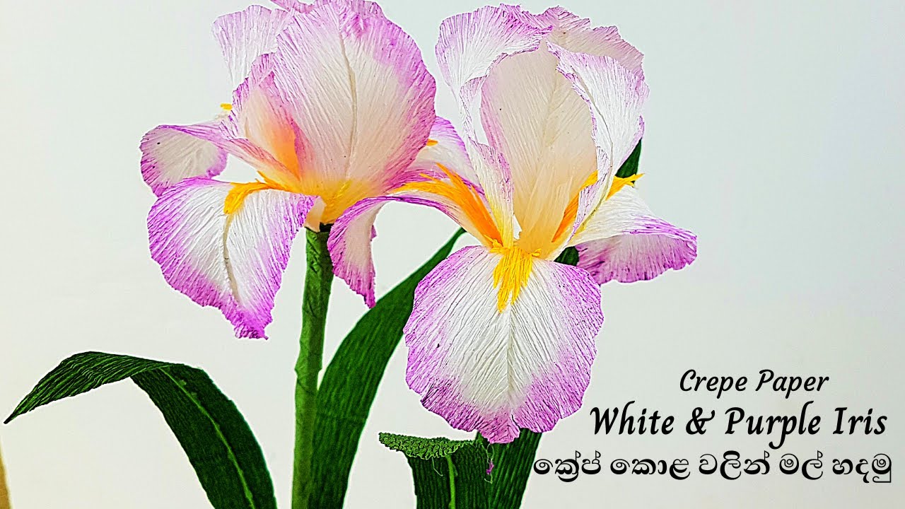 How to Make Crepe Paper White Iris |Paper Iris flower|Paper flower Easy ...