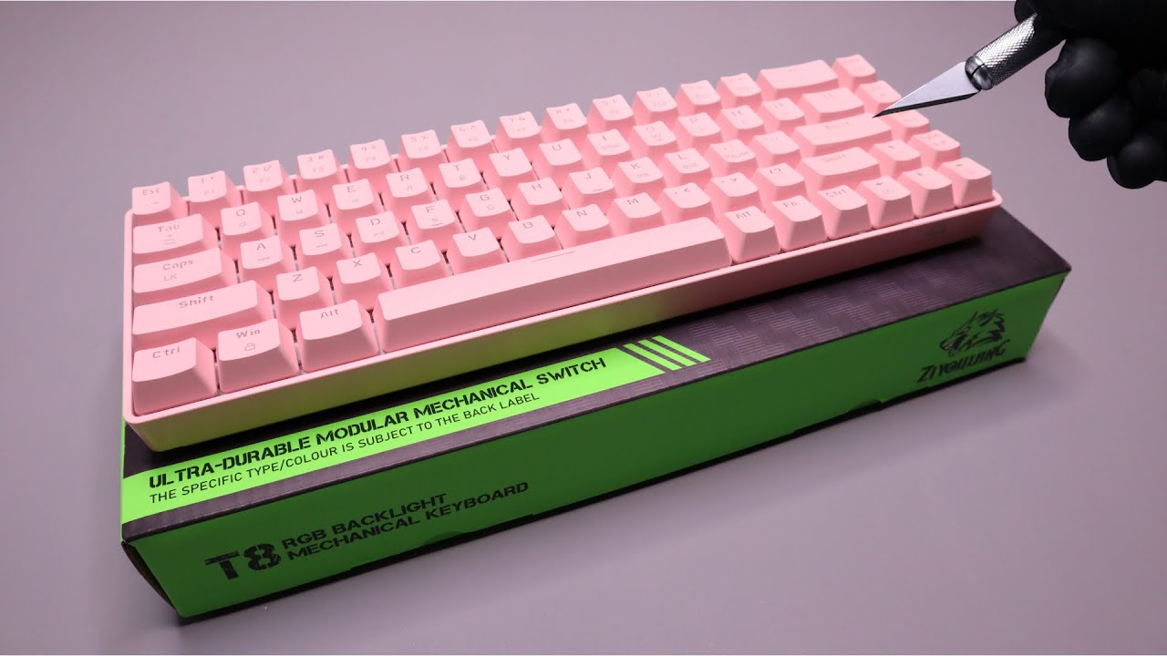 ZIYOU LANG T8 RGB Mechanical Keyboard - Short ASMR Unboxing - YouTube