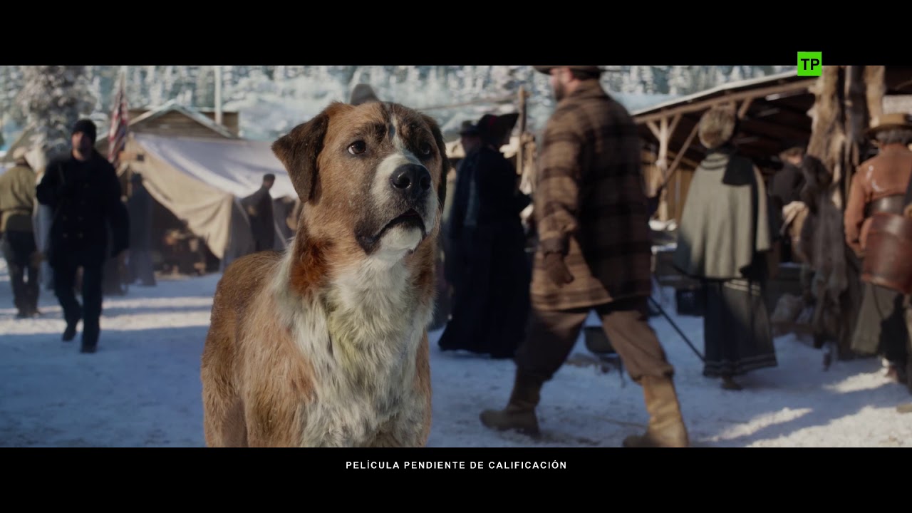 LA LLAMADA DE LO SALVAJE | Clip "Thornton conoce a Buck" | YA EN CINES ...