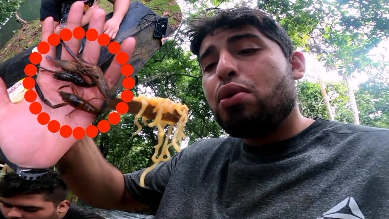 Pesca y Cocina De CAMARONES De RIO Con LA MANO - YouTube