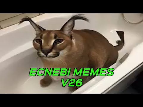 ECNEBI MEMES V26