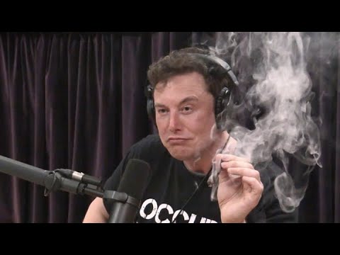(Elon musk chill trap type beat) Former Smoker Never Sober ...