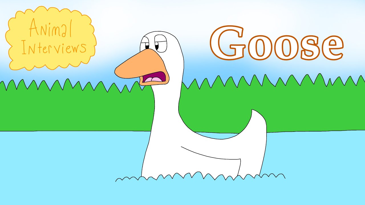 Animal Interviews: Goose - YouTube