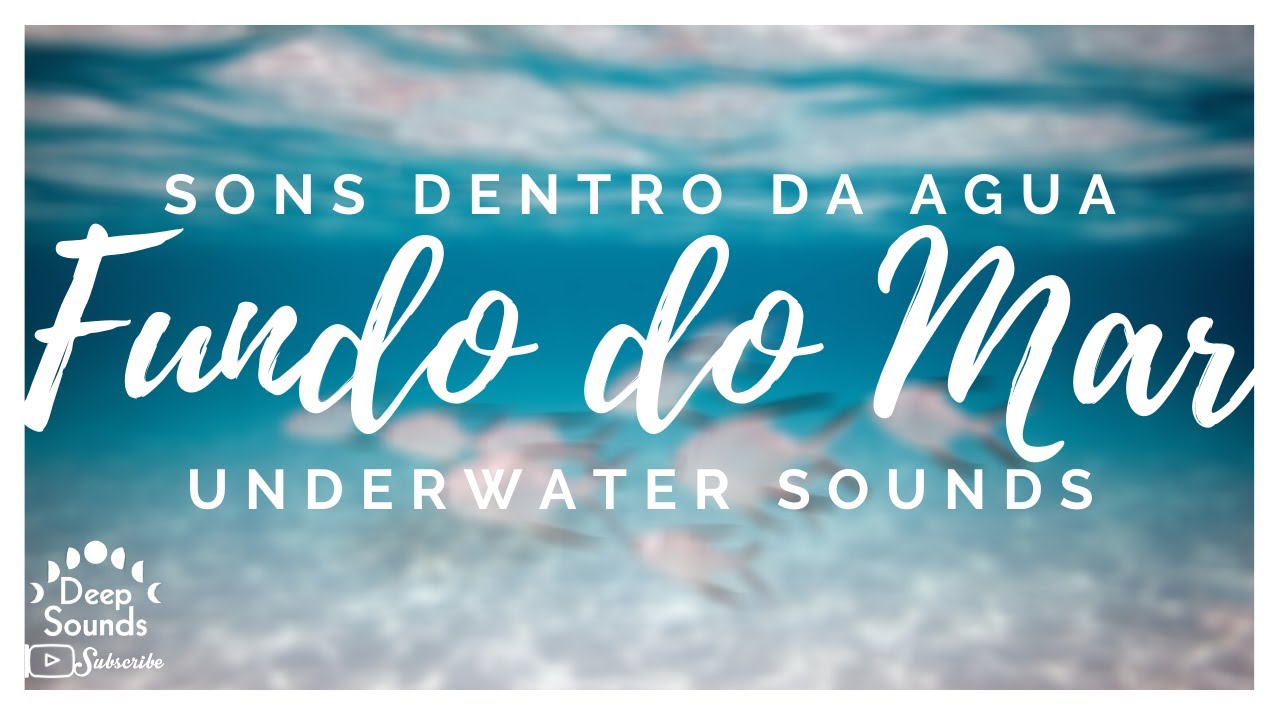 Sons do fundo do mar para dormir, meditar e estudar (1 hora) - YouTube