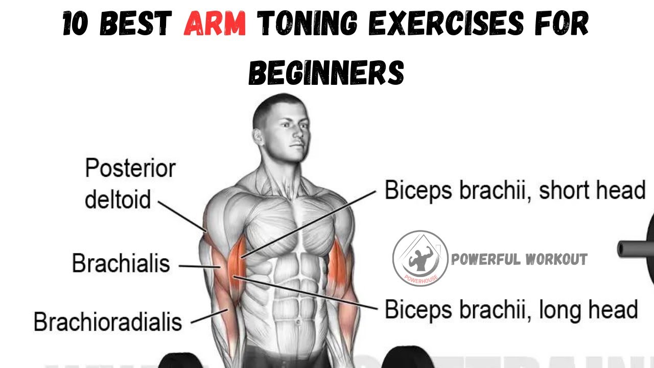 Best arm exercises for beginners | No Equipment | - YouTube