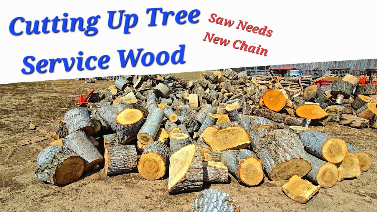 Cutting Up Tree Service Wood - YouTube
