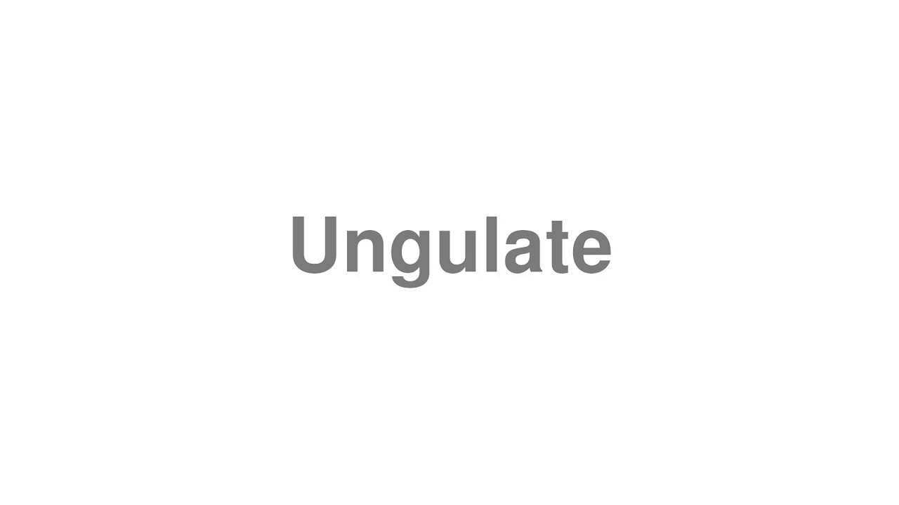 How to Pronounce "Ungulate" - YouTube
