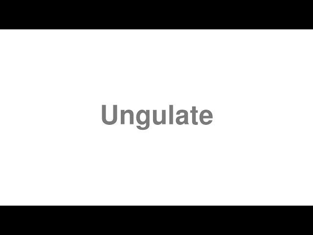 Ungulates Pronounce Bongo (antelope) Wikipedia