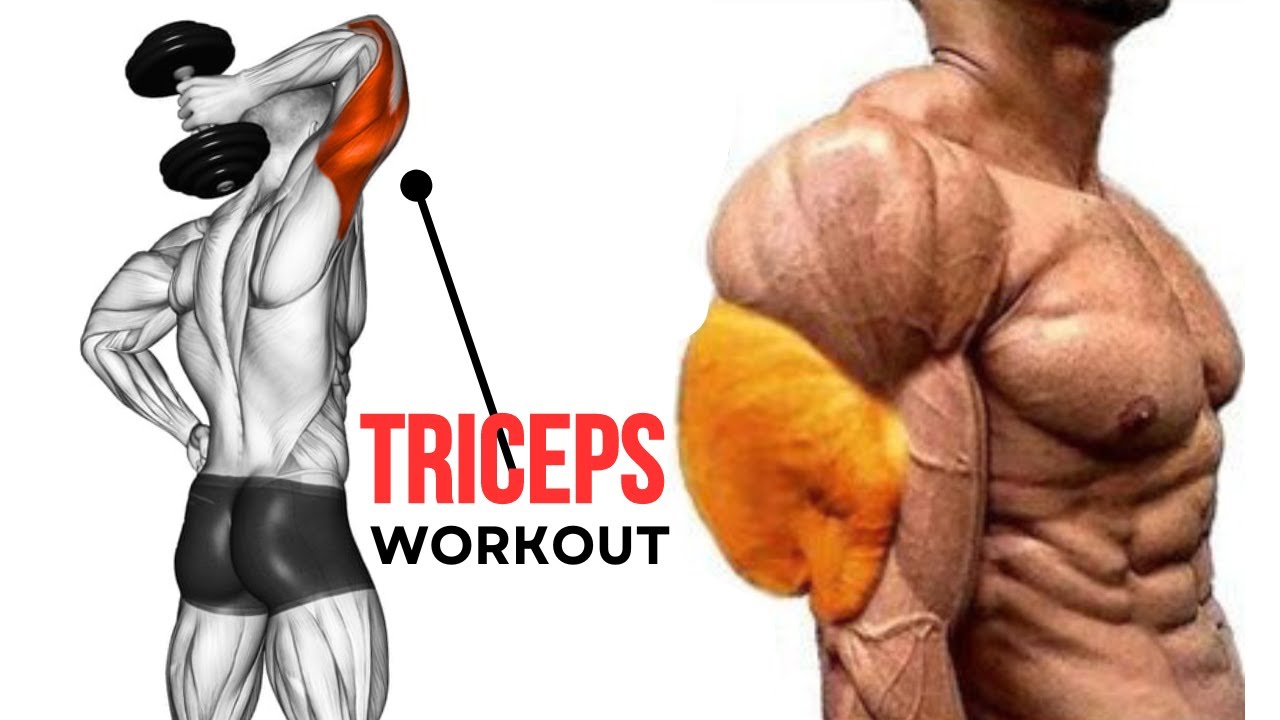 7 Killer Triceps Exercises for Massive Gains at the Gym - YouTube