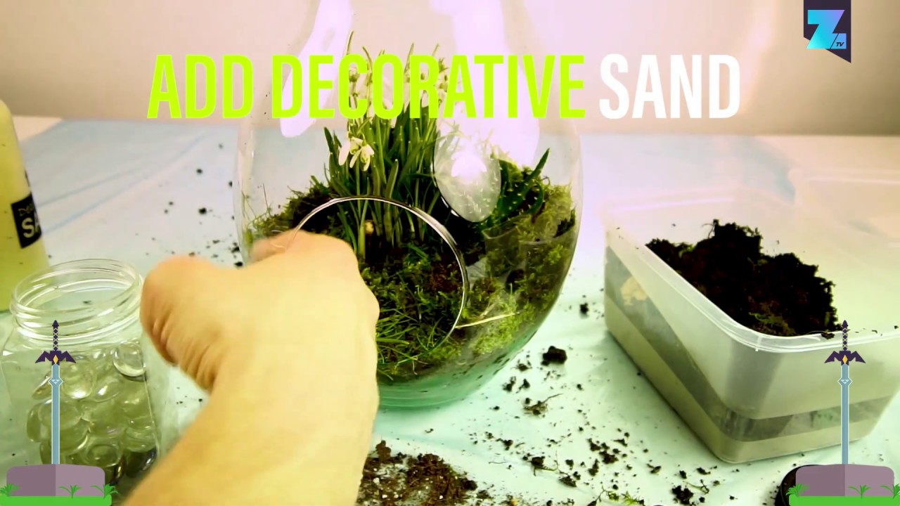 Game Room: How to make a Zelda-inspired terrarium - YouTube