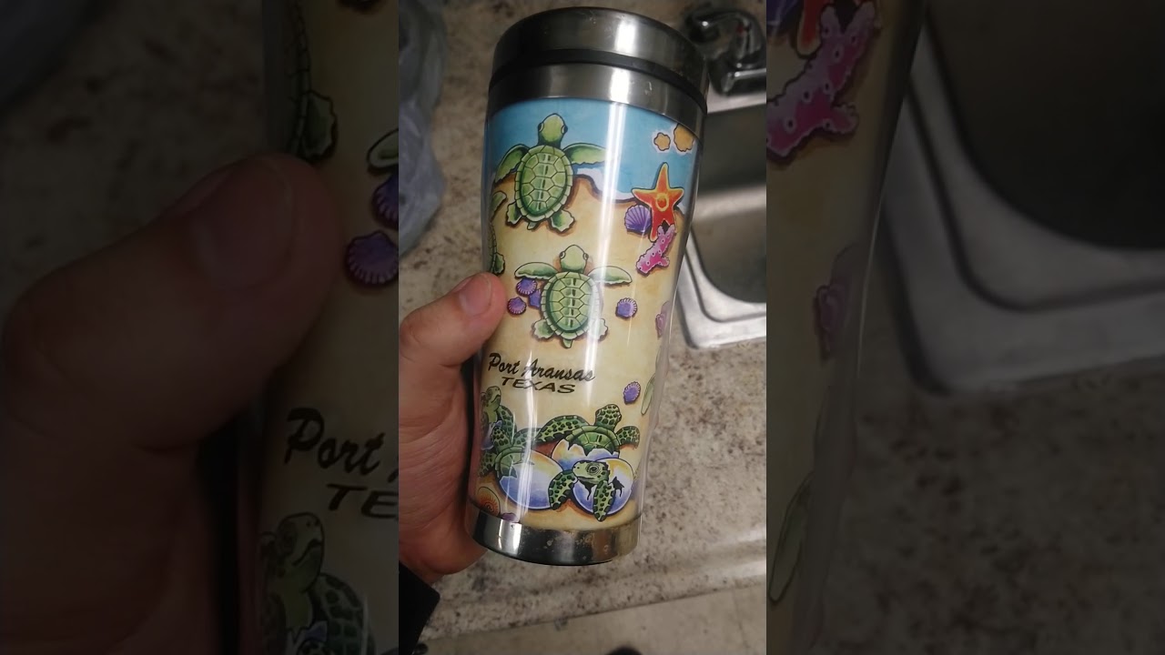 Sea Turtle Cup - YouTube