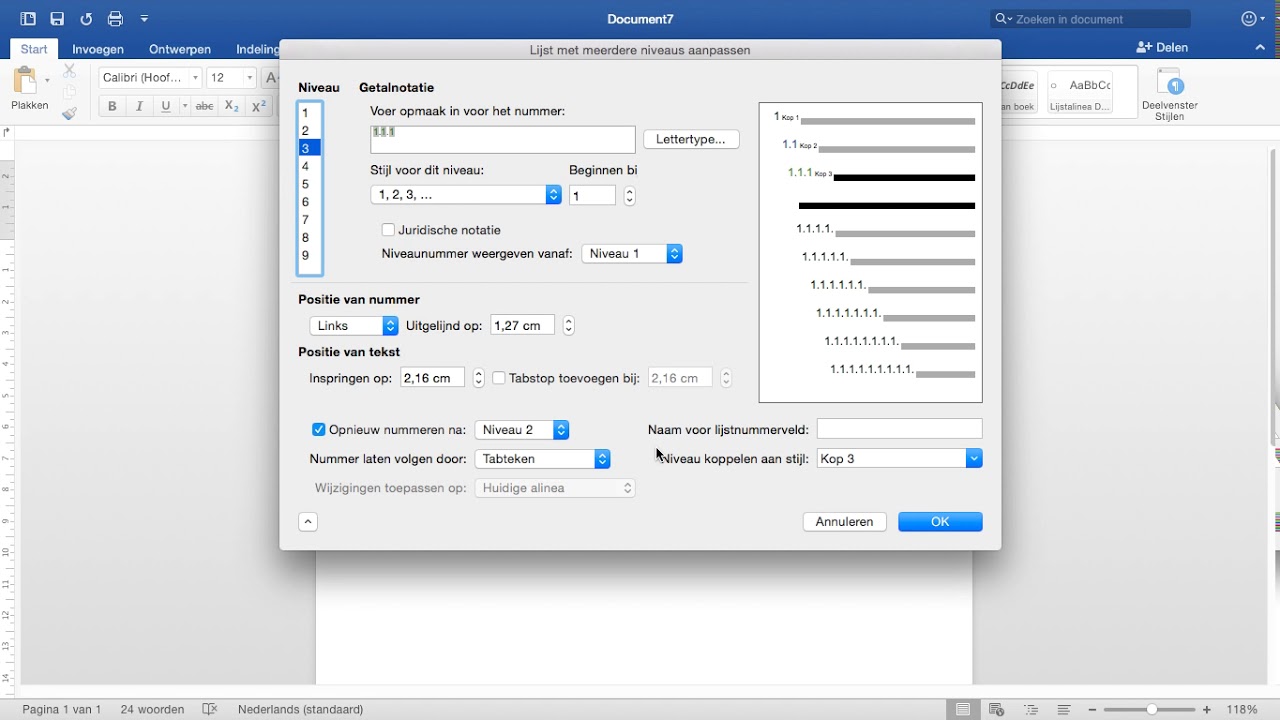 begeleide oefening bij het gebruik van stijlen, nummeren en opsommen ...