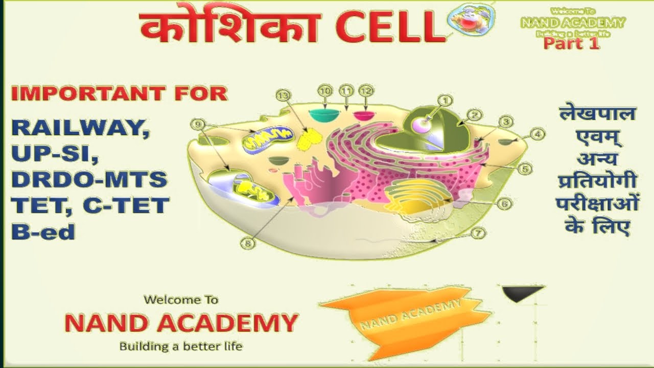 #Cell | Cell - The Unit of Life | कोशिका | कोशिका संरचना । Cell ...