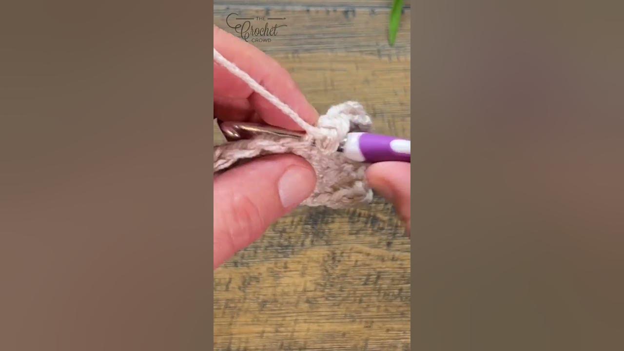 Single Crochet V Stitch 1 Sc Ch 1 1 Sc crochetstitches crochet single-crochet-v-stitch-1-sc-ch-1-1-sc-crochetstitches-crochet